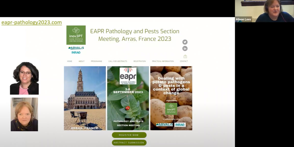 Potato Tuber Blemish Diseases: status and management - World Potato ...