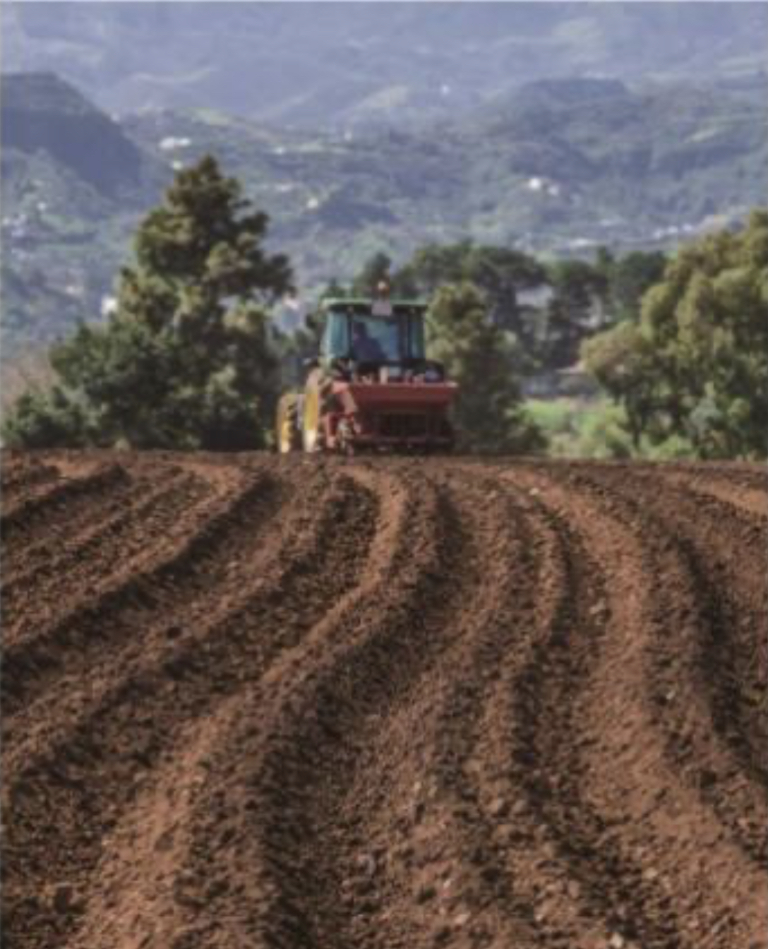 SnowValley Food Hebei Co., Ltd. of China - World Potato Congress