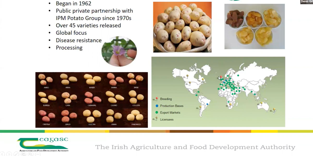 Potato Variety Development in Ireland - World Potato Congress