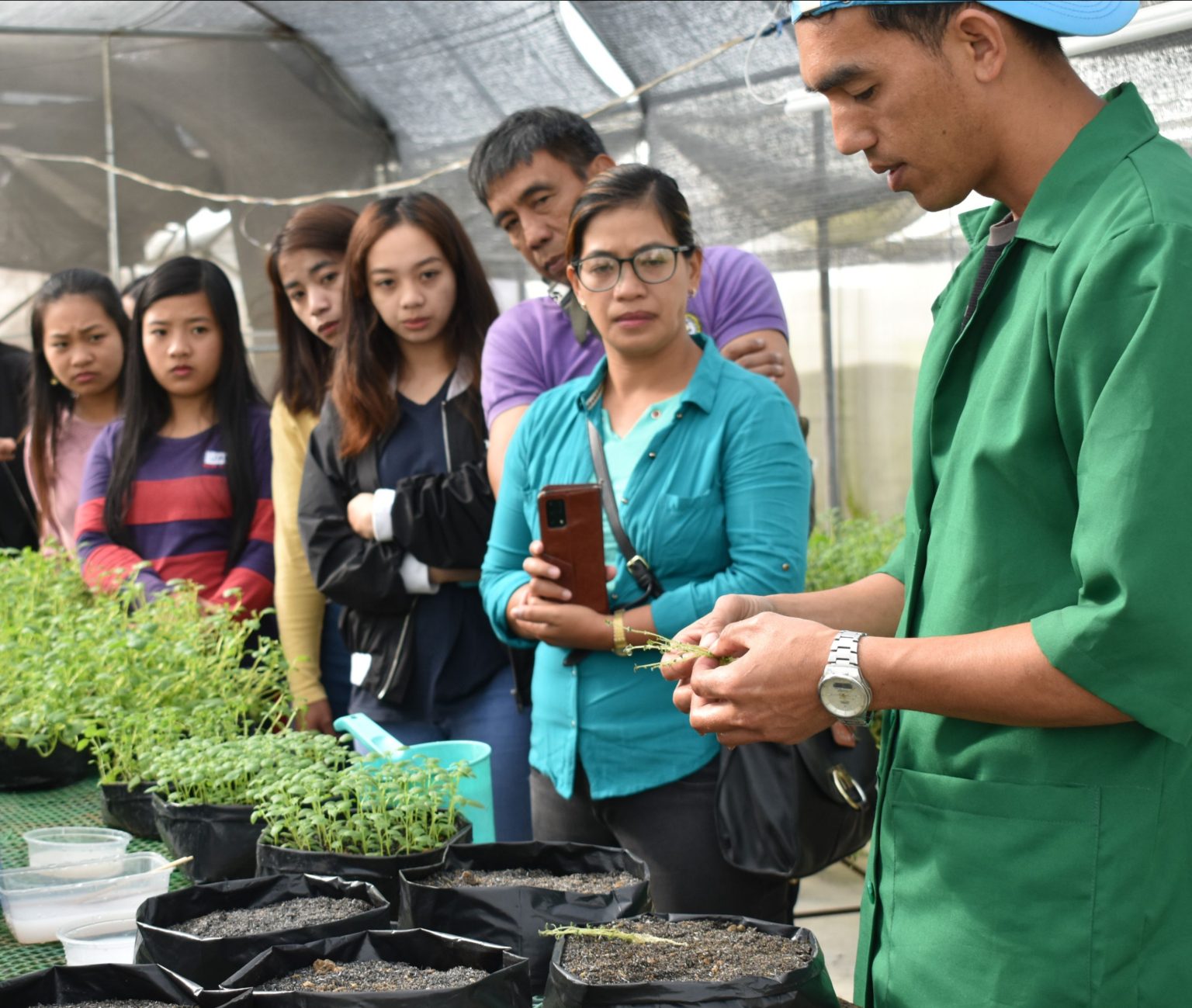 A Journey of Quality Seed Potato Production Through Apical Rooted ...