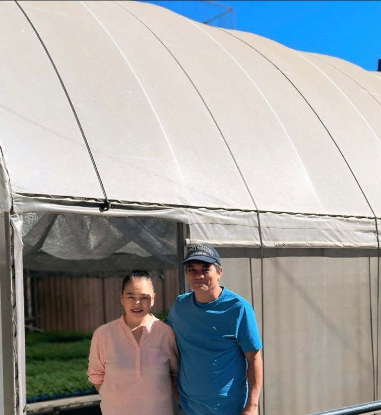 A Journey of Quality Seed Potato Production Through Apical Rooted ...